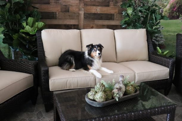 Oconee 4-Piece Outdoor Seating Set - Sofa, Club Chair, Swivel Glider ...